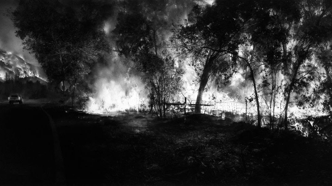 Robert Longo | Jonathan Griffin